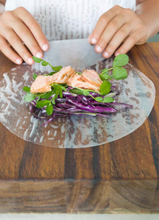 Well Nourished Rice Paper Rolls Recipe